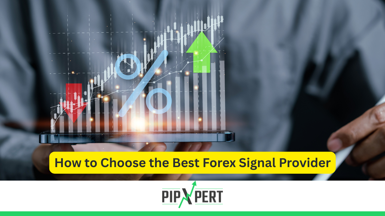 How to Choose the Best Forex Signal Provider - PipXpert