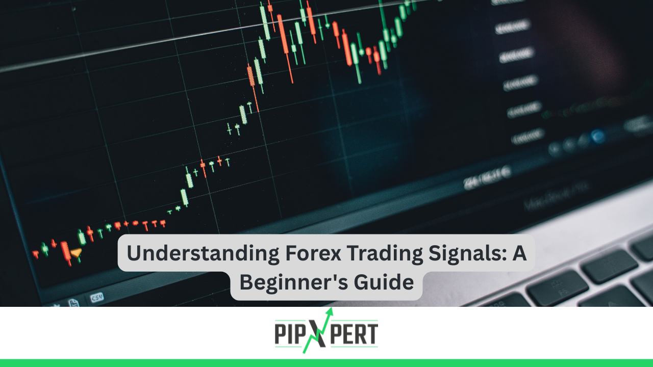 Understanding Forex Trading Signals: A Beginner's Guide - PipXpert